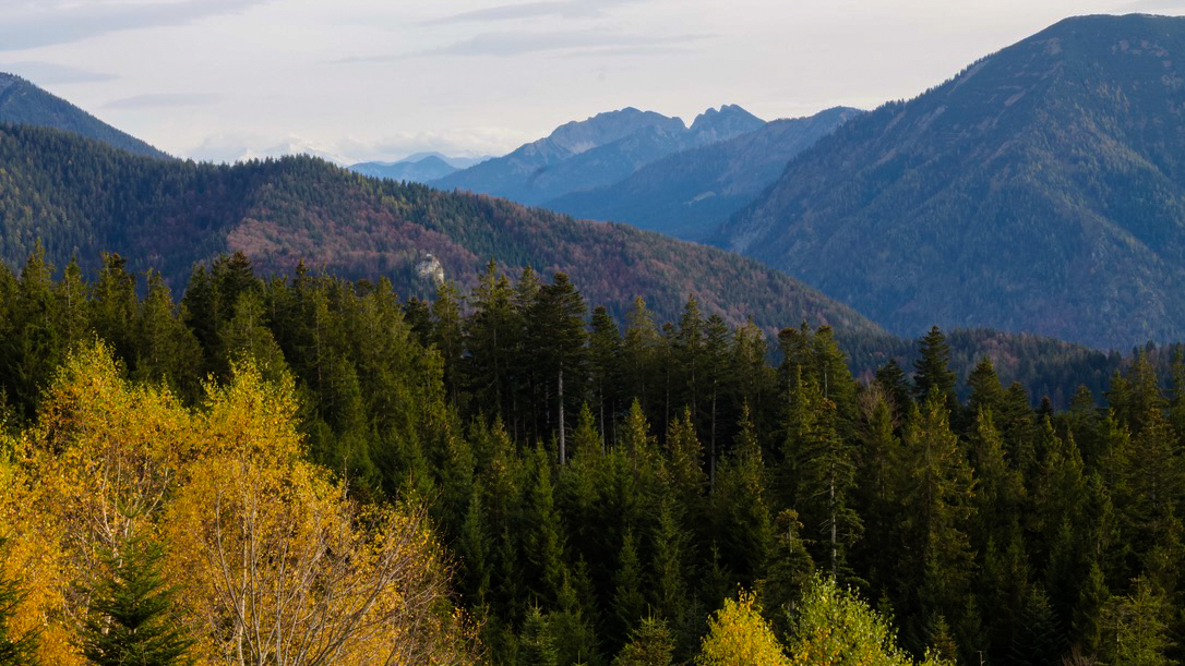 Blog – Data Analytics Projects